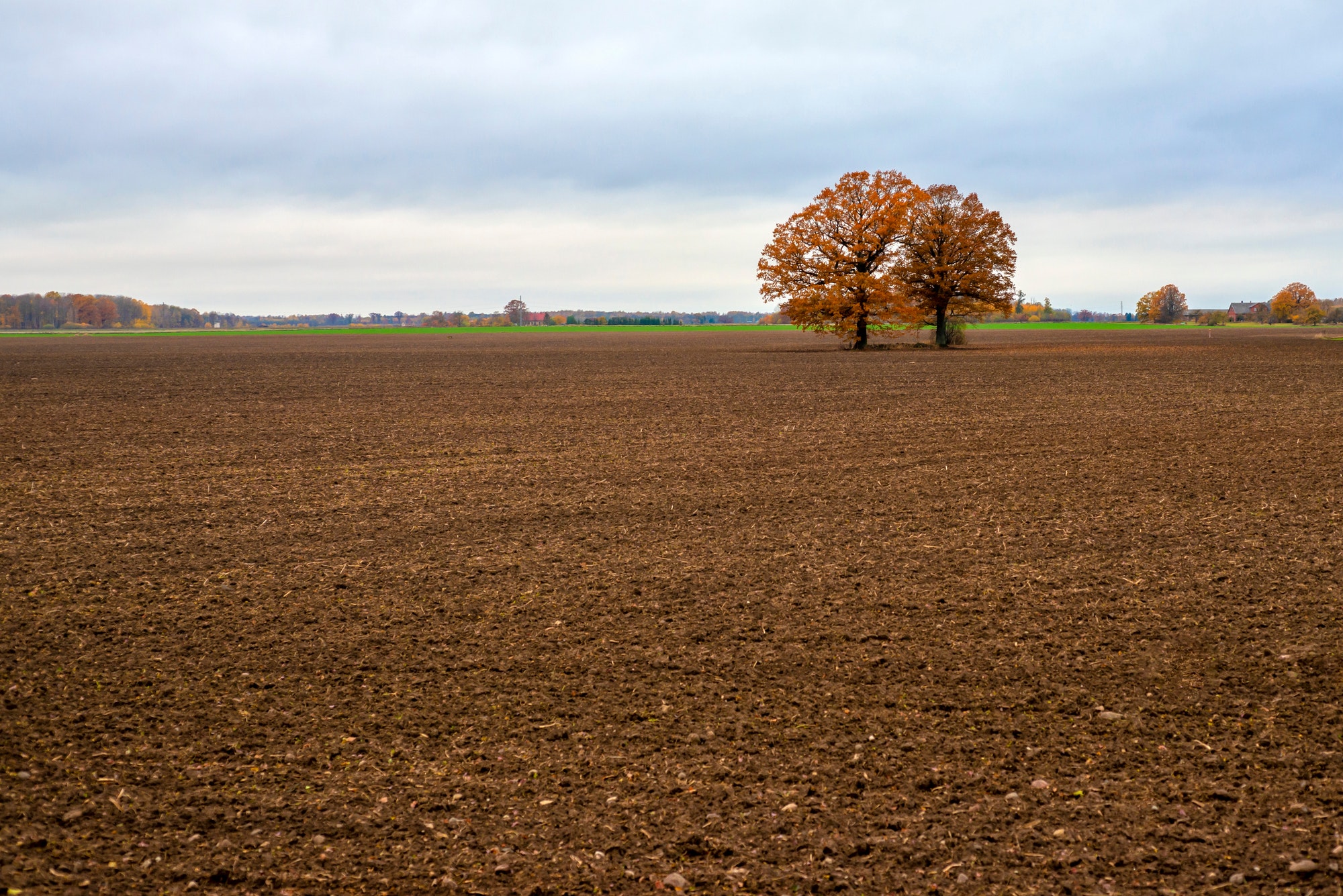 Niveler un terrain a la main : Comment proceder Niveler un terrain a la main : Comment proceder